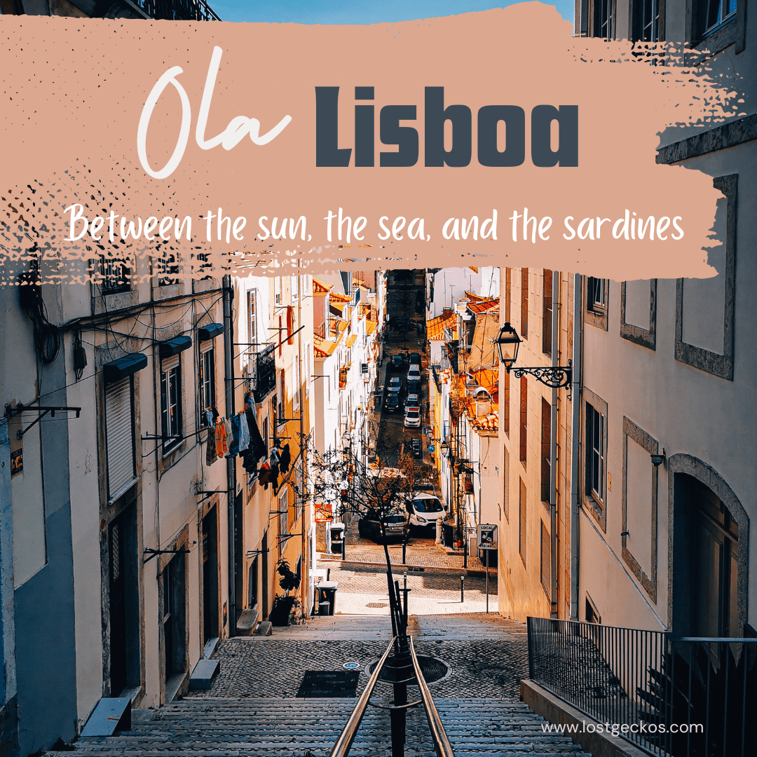 Lisbon | Lost Geckos